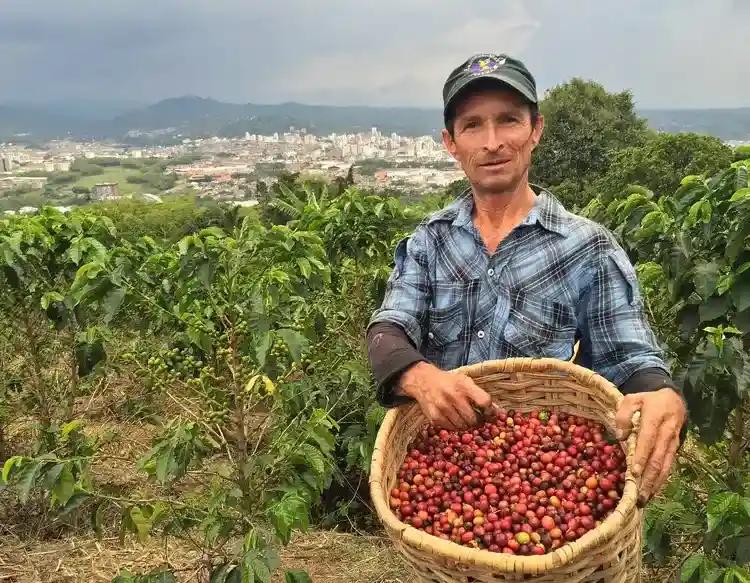Discover RPCC: Your Source for Bold and Sustainable Colombian Coffee ...